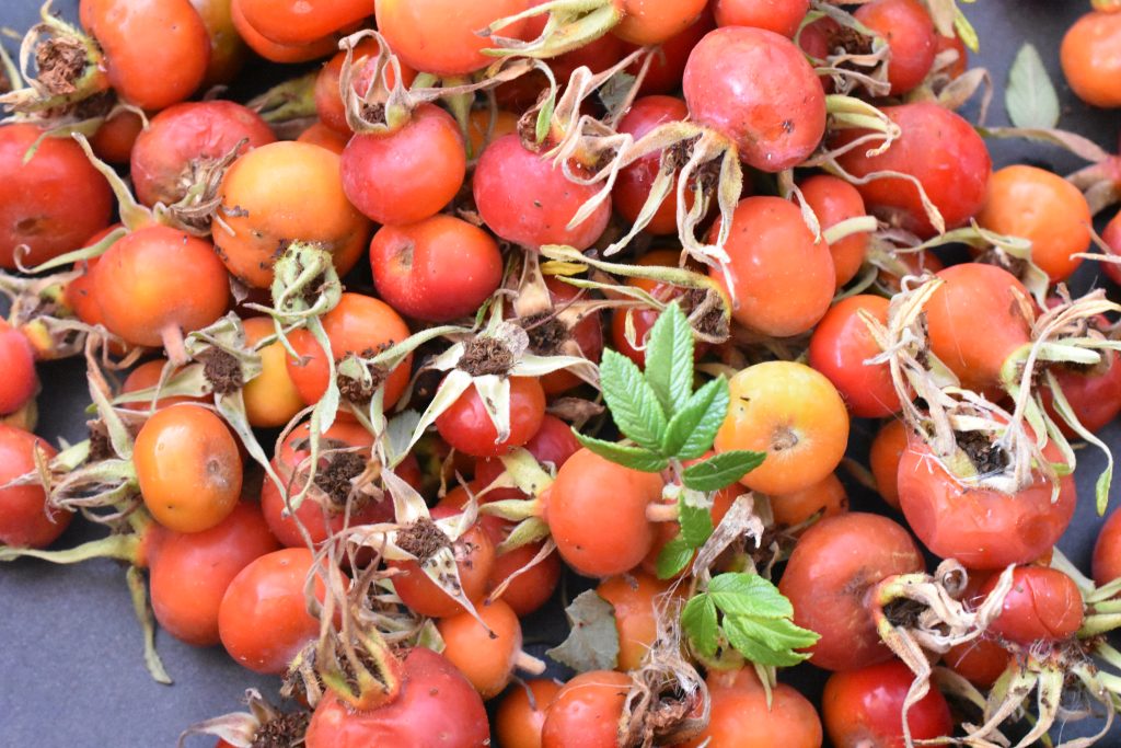 Hybenmarmelade – opskrift på marmelade med hyben og vanilje